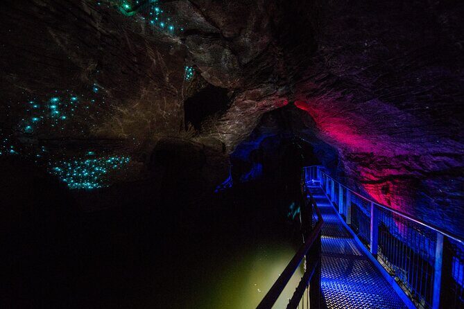 Waitomo Glowworm & Ruakuri Twin Cave Experience - Small Group Tour From Auckland - Key Points