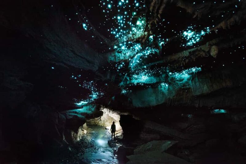 Waitomo: Guided Eco-Cave Tour - An In-Depth Look at the Waitomo Eco-Cave Experience