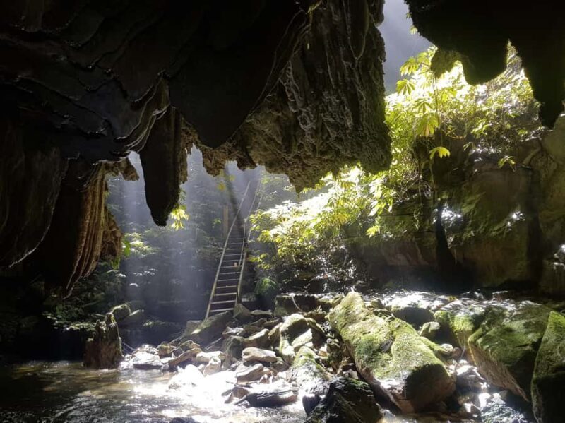 Waitomo: Guided Eco-Cave Tour - FAQs
