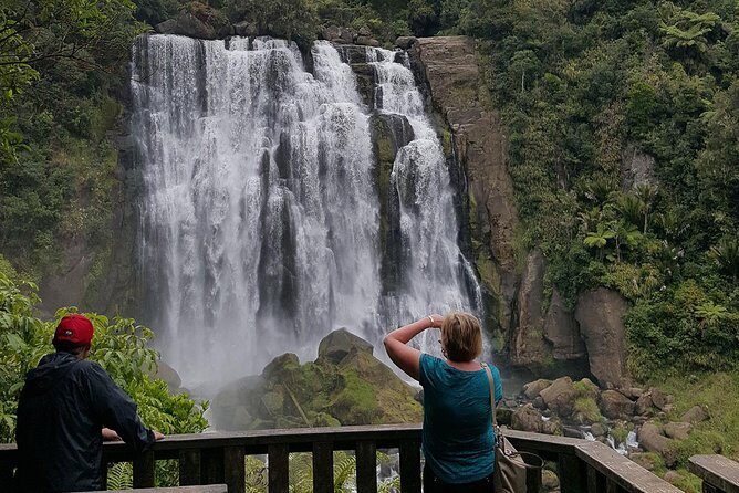 Waitomo & The King Country Exclusive Luxury Day Tour from Auckland - Key Points