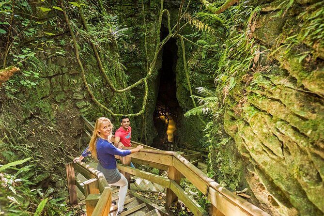 Waitomo & The King Country Exclusive Luxury Day Tour from Auckland - Practical Details and What to Expect