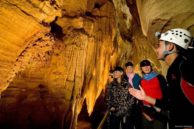 WAITOMO - Twin Caves Discovery - Private Day Tour from Auckland - An In-Depth Look at the Waitomo Twin Caves Discovery Tour