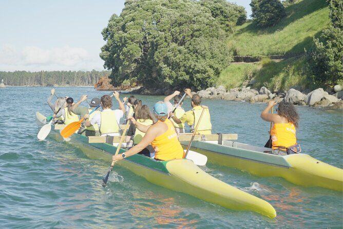 Waka Ama Adventure in Mount Maunganui - Who Will Love This Tour?