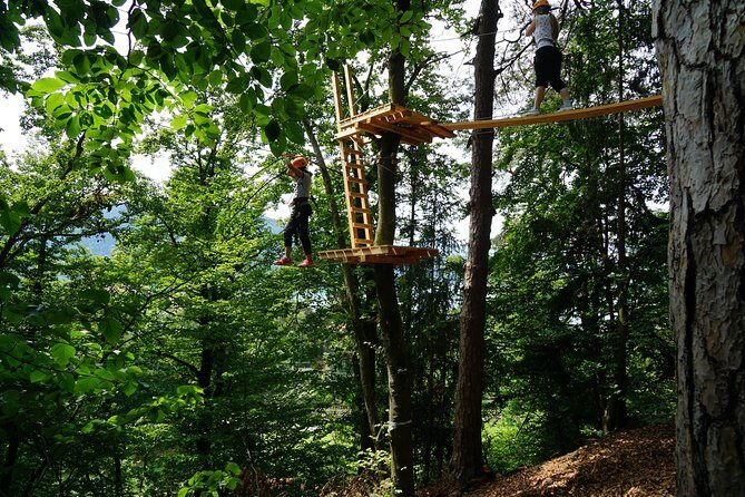 Waldseilpark Wörthersee - Detailed Breakdown of the Experience