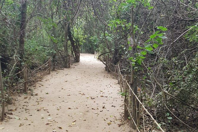 Walk And Snorkel In The National Park HT - Cost and Value