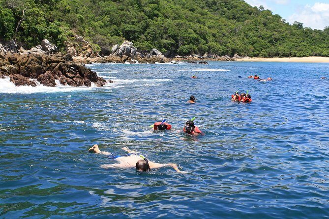 Walk And Snorkel In The National Park HT - Why This Tour Works