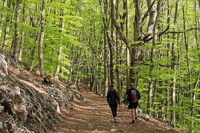 Walk around Faito Mountain, the Highest Point of the Amalfi Coast and Sorrento Peninsula - Who Is This Tour Best For?