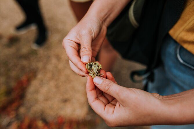 Walk at Lake Monjinup - Exploring the Lake Monjinup Experience