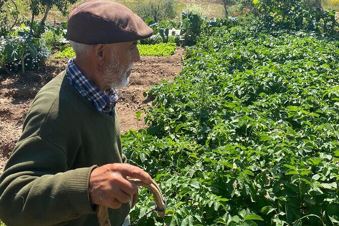 Walk in the Hills with Goat Herder-Local Honey, Wine and Cheese Tasting - What Reviewers Say