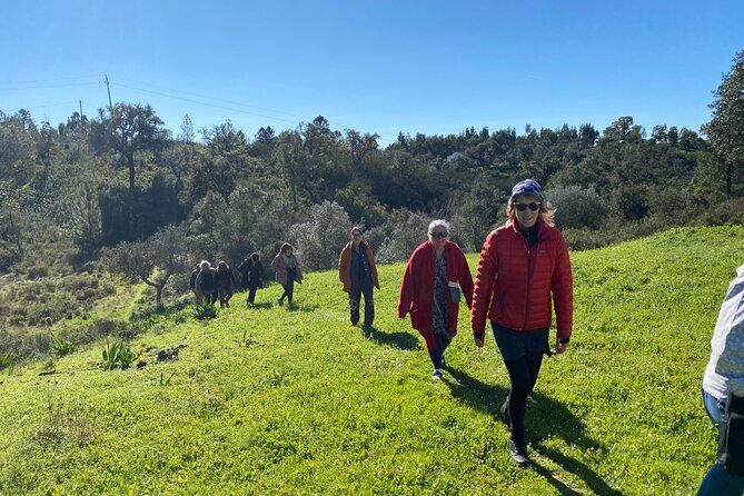 Walk in the Hills with Goat Herder-Local Honey, Wine and Cheese Tasting - Who This Tour is Perfect For
