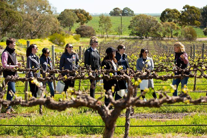 Walk, Taste, Graze - Experience at Pindarie - An In-Depth Look at the Pindarie Walk, Taste, Graze Experience