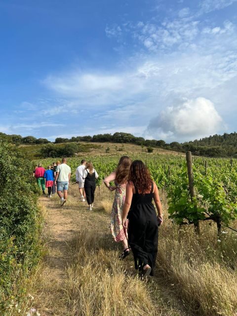 Walk through our vineyard and aperitif - Authentic, Relaxed, and Educational: Who Will Love This Tour?