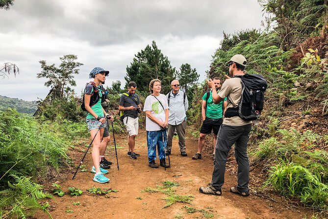 Walk with a local - Who Will Love This Tour?