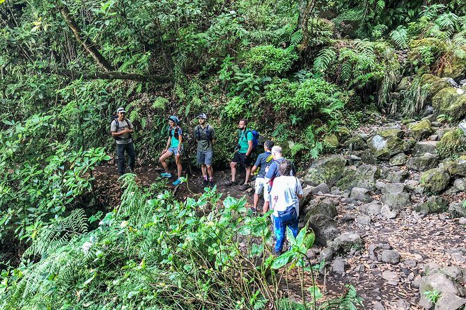 Walk with a local - FAQs