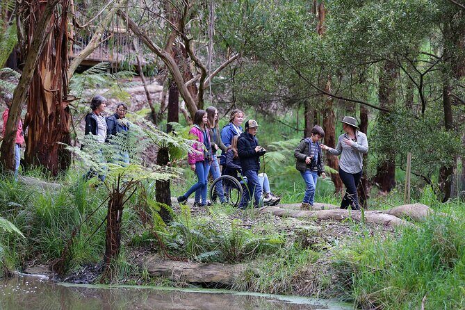 Walk with Wildlife: Guided Tour in Great Ocean Road - Why This Tour Works