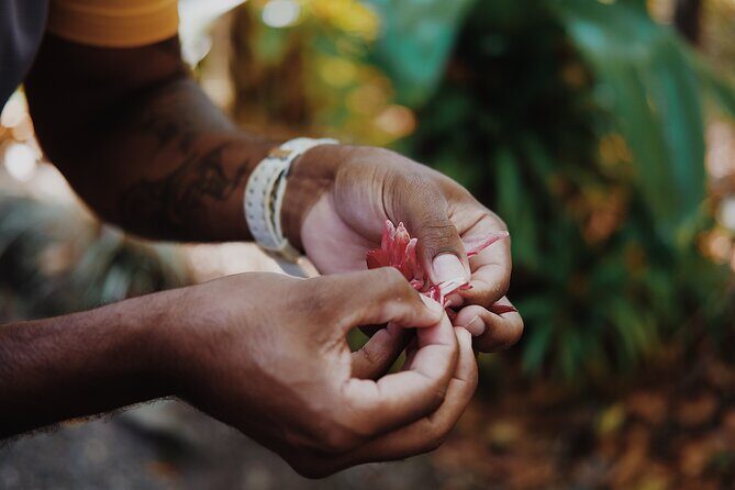 Walkabout Cultural Adventures - Ngana Julaymba Dungay Full Day - The Itinerary Breakdown: What You Can Expect