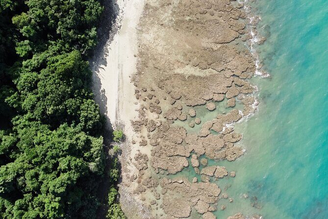 Walkabout Cultural Adventures - Ngana Kulkinga Dungay Full Day - Key Points  