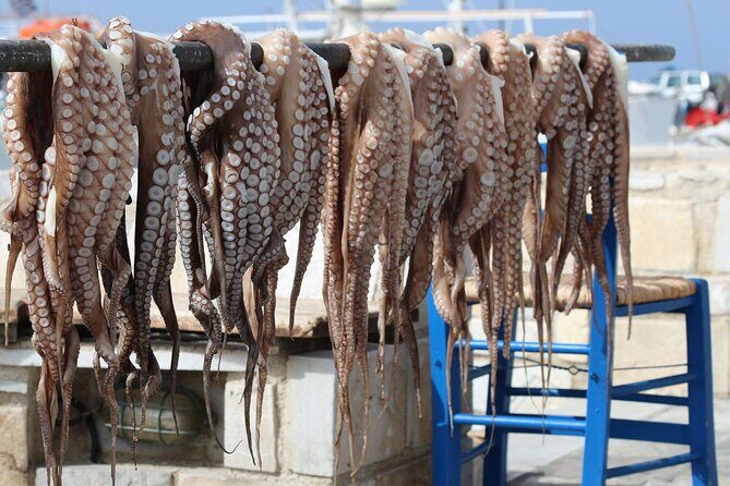 Walking and Tasting Experience - The Sum Up