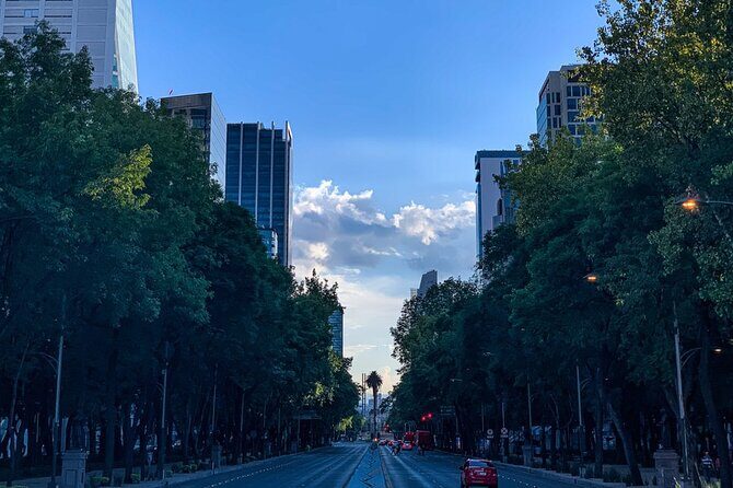 Walking Mexico City Tour with Anthropology Museum - Who Will Love This Tour?