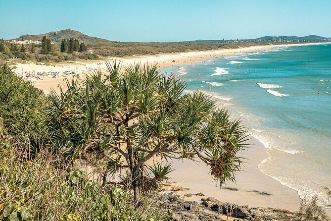 Walking Photography Activity in Coolum Beach - Why This Tour Works Well