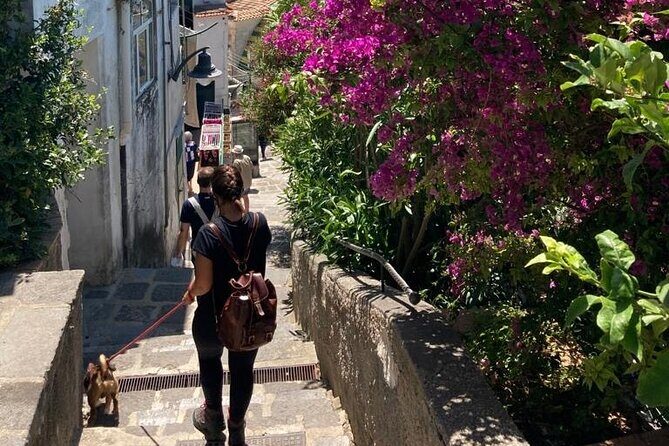 Walking tour from Minori to Maiori along the Path of the Lemons - Analyzing the Cost and Value