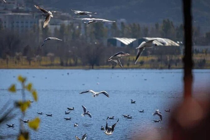 Walking Tour Historic Jewels in Tirana - The Verdict