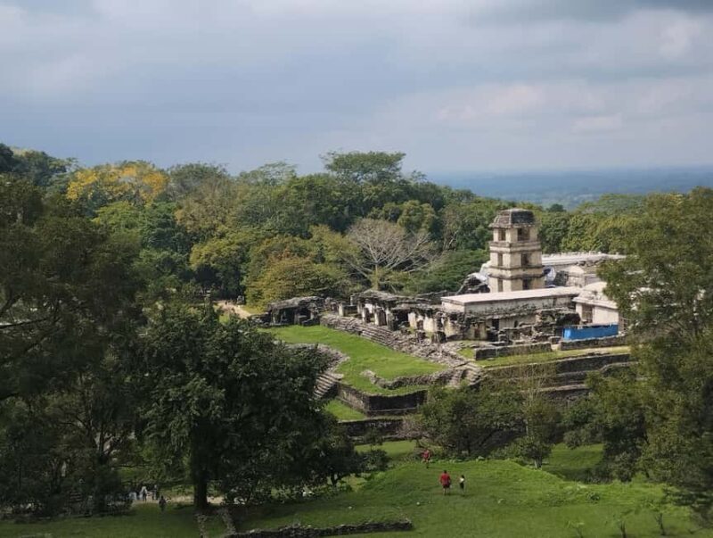 Walking tour in the archaeological site and jungle of Palenque - Key Points