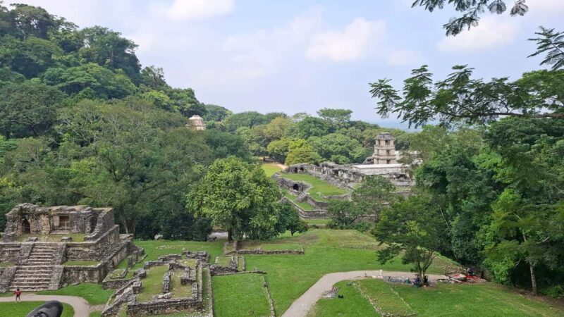 Walking tour in the archaeological site and jungle of Palenque - What Makes This Tour Stand Out