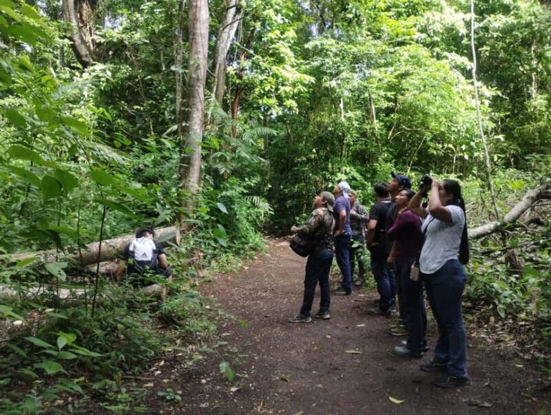 Walking tour in the archaeological site and jungle of Palenque - What’s Included and What’s Not