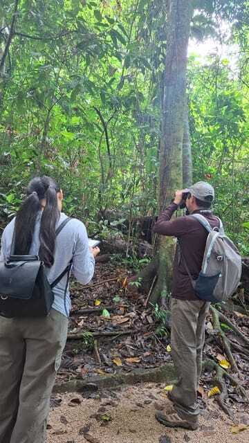 Walking tour in the archaeological site and jungle of Palenque - Additional Considerations