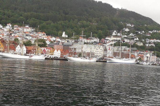 Walking tour: Medieval Spirit of Bergen + sweet Arctic gifts - Discover Bergen’s Medieval Spirit with a Guided Walking Tour