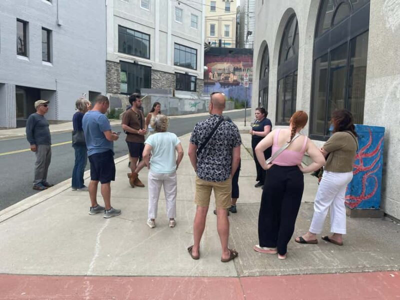 Walking tour of downtown St. John's in French - Who Should Consider This Tour