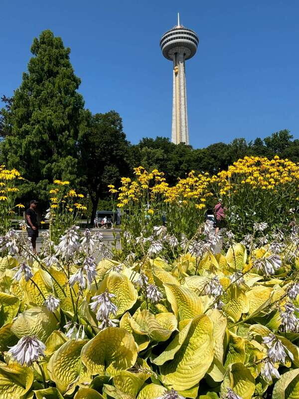 Walking Tour of Niagara Falls Canada and Hornblower Boat - Why This Tour Works