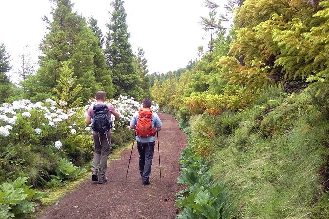 Walking Tour Sete Cidades - Practical Tips for Making the Most of the Tour