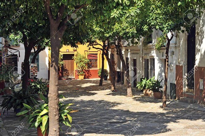 Walking tour through the old Jewish quarter of Santa Cruz. - Key Points