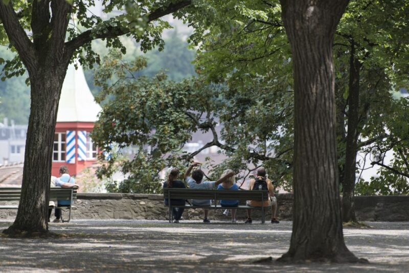 Walking Tour with the Night Watchman - Who Will Enjoy This Tour?