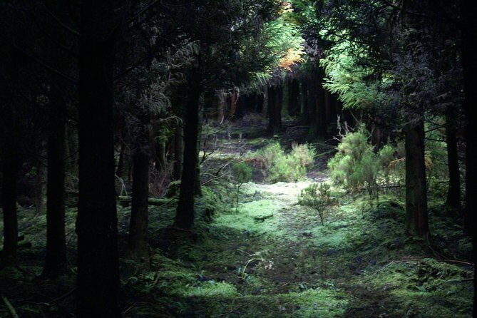 Walking Trails of Terceira - Practical Aspects and What to Expect
