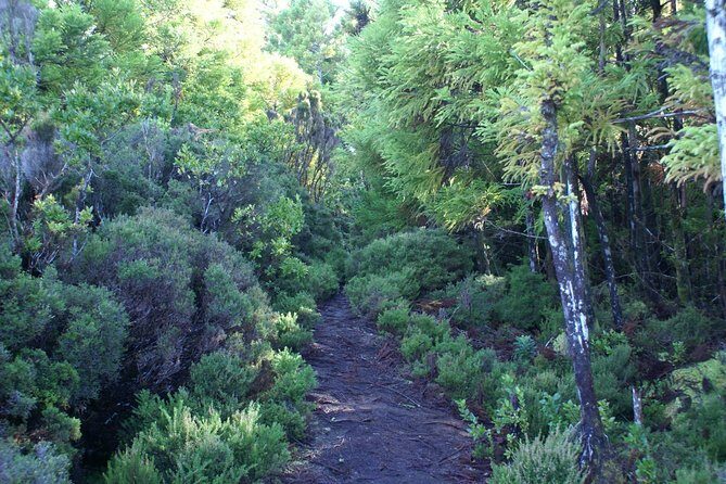 Walking Trails of Terceira - Final Thoughts