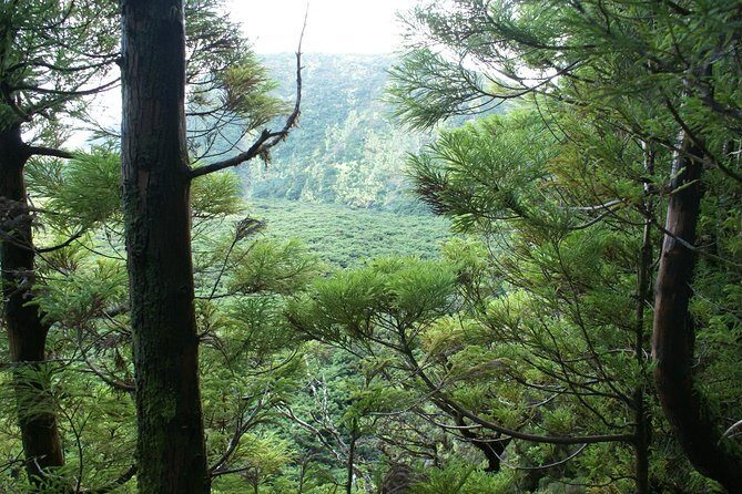 Walking Trails of Terceira - FAQs
