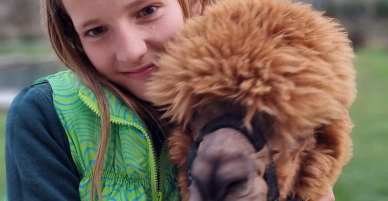 Walking with alpacas - Domaija Loncnar - Bohinj - Final Thoughts