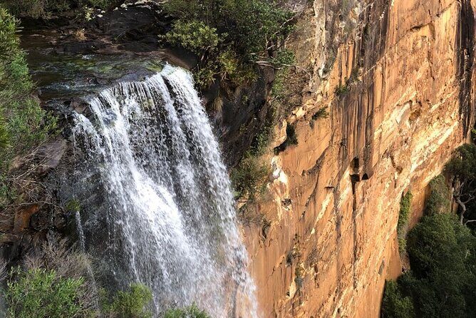 Walking with Wild Wombats Private Day Trip from Sydney - Final Thoughts