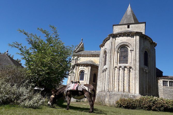 Walks and hikes with donkeys - What Is the Walks and Hikes with Donkeys Tour?