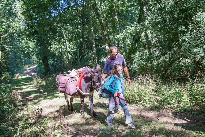 Walks and hikes with donkeys - Reviews and Real Experiences