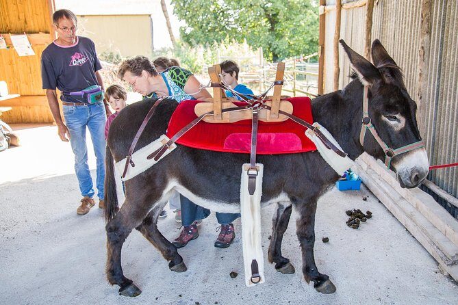 Walks and hikes with donkeys - Analyzing the Value
