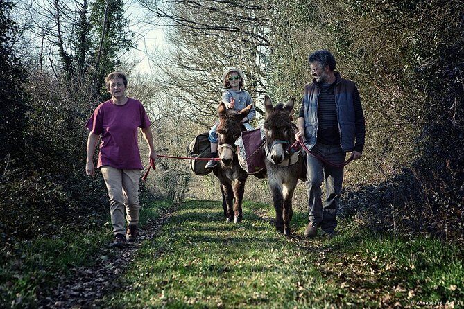 Walks and hikes with donkeys - Who Should Consider This Tour?