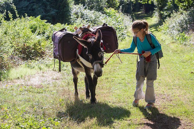 Walks and hikes with donkeys - FAQ