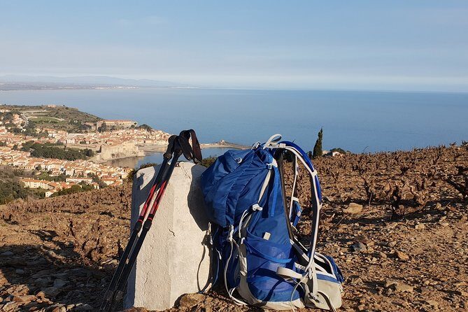 Walks in the heart of the secret vineyards around Collioure, tastings - Key Points