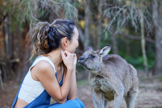 Wallabies & Wine - Hunter Valley Adventure - Who Will Love This Tour?