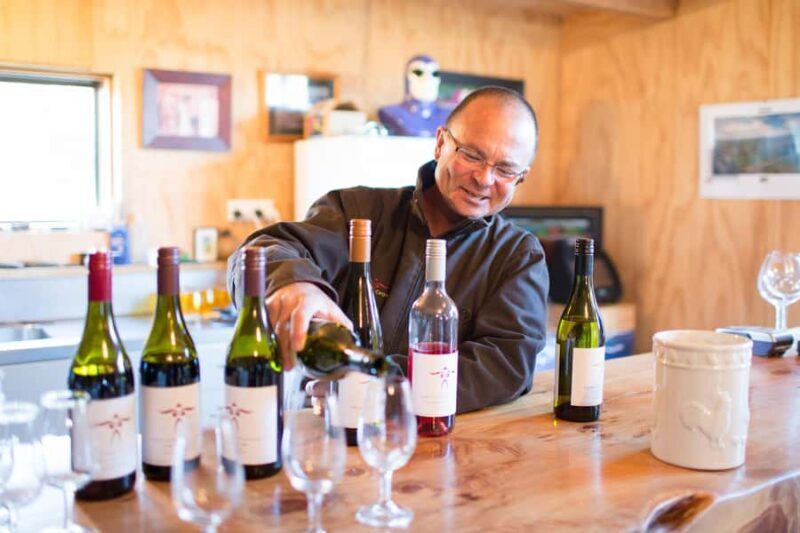 Wanaka: Full Day Classic Wine Tour with Lunch - The Sum Up