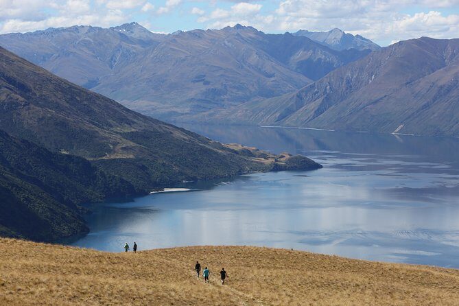 Wanaka High Country Walk - Exploring the Wanaka High Country Walk: An Authentic Mountain Adventure